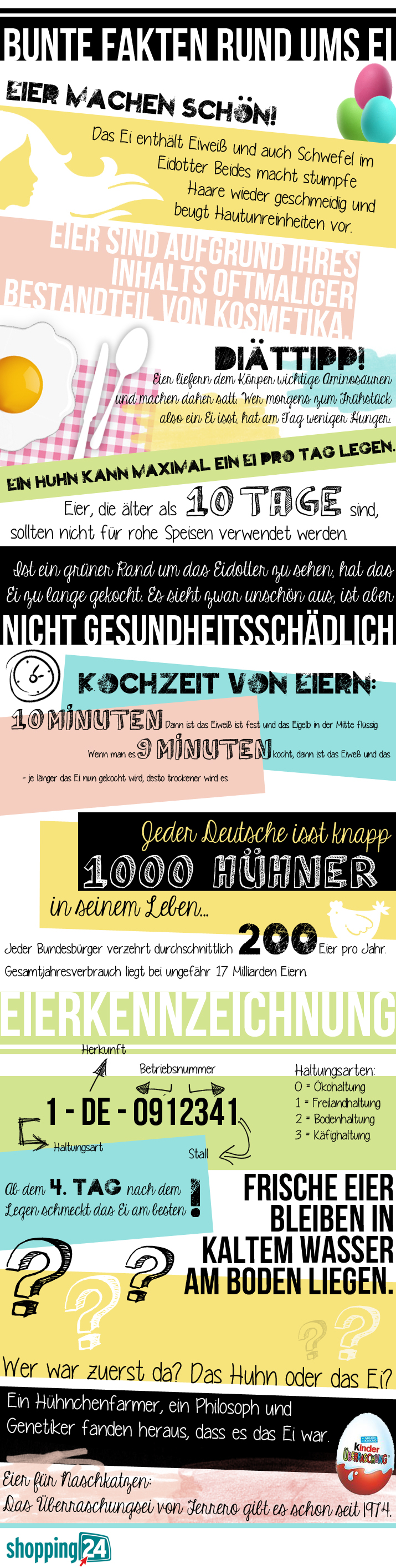 Infografik zum Thema Eier mit interessanten Informationen