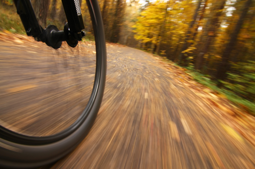 Fahrradausflug an einen Herbsttag in den Wald