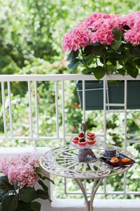 Sonniger Balkon mit Blumentöpfen und Tisch